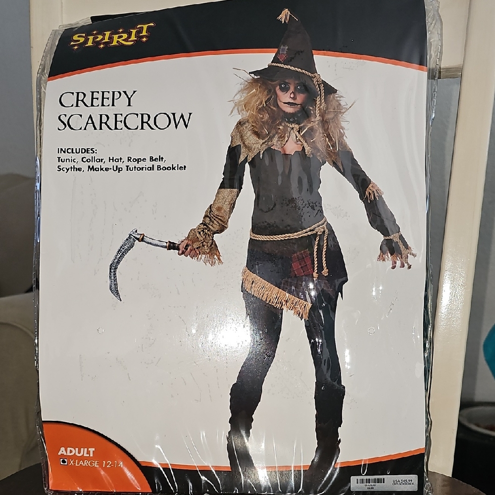 Spirit Halloween Creepy Scarecrow Costume - Gem